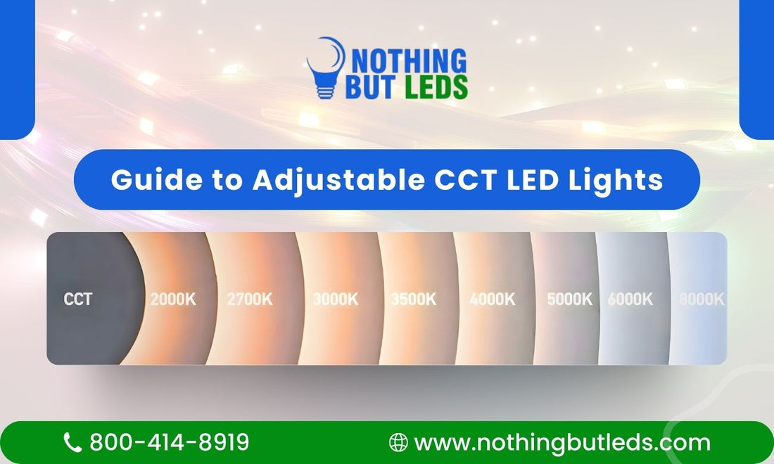 Guide to Adjustable CCT LED Lights – Nothing But LEDs